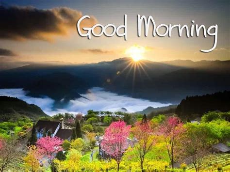 Beautiful Good Morning Hd Wallpapers Top Free Beautiful Good Morning Hd Backgrounds