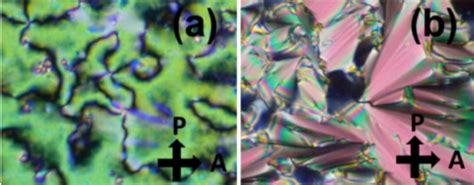 ͑ Color Online ͒ ͑ A ͒ Schlieren Texture In Nematic Phase ͑ At 123 ° C Download Scientific