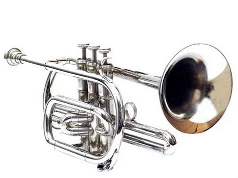 New Product Cornet 3 Valve Silver Bb Flat Perfect Sound Quality And Case At Rs 5400 Echo