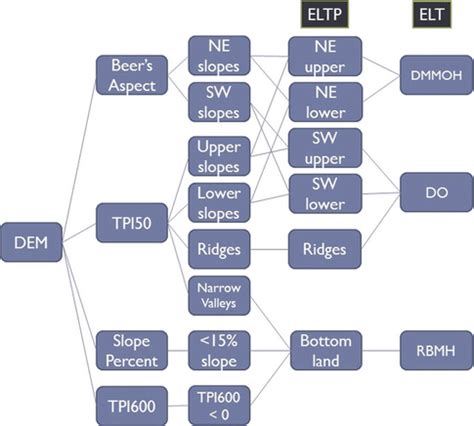 Flowchart Showing Flow Of ArcGIS Processing To Produce The Ecological Download Scientific