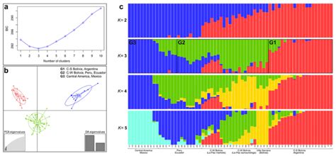 Genetic Clustering And Differentiation Of C Pubescens Samples Using Download Scientific