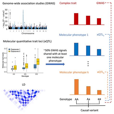Joint Analysis Of Gwas And Multi Omics Qtl Summary Statistics Reveals A Large Fraction Of Gwas