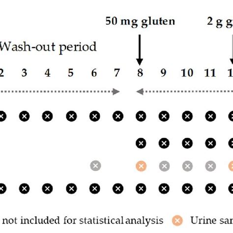 The Diagnostic Algorithm For Celiac Disease Diagnosis Figure Source 1