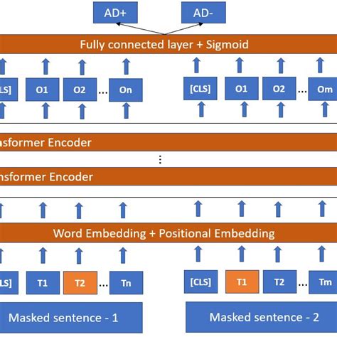 Bert Training And Fine Tuning Shown In A Single Architecture Download