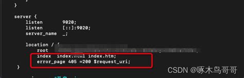 Nginx的405 Not Allowed错误解决nginx405 Csdn博客