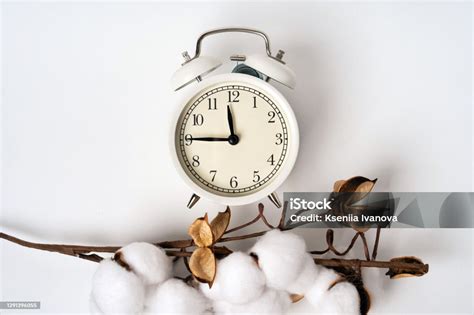 면 가지와 알람 시계 텍스트에 대한 부드러운 배경과 공간을 청소 0명에 대한 스톡 사진 및 기타 이미지 0명 꽃 식물 꽃병 Istock