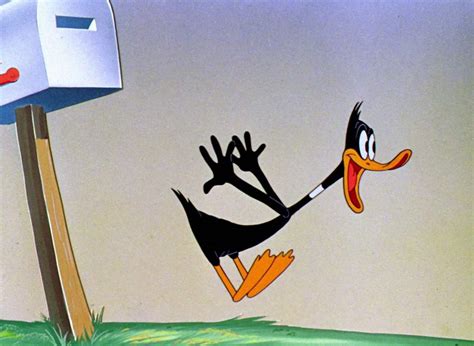 Daffy Duck Fan Art Cartoon Amino