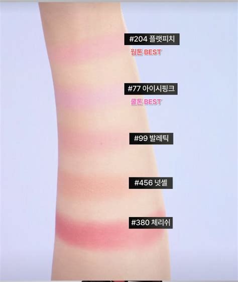 헤라블러셔 고민된다 뷰티 뉴덕