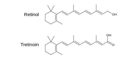 Retinol Vs Retin A Vs Retinoid Vs Tretinoin Whats The Difference