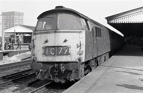 The Transport Library British Rail Diesel Loco Class 52 Western 1051 At Reading In 1974