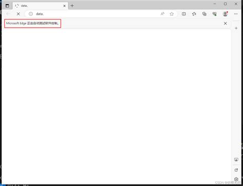 自动化测试工具 Selenium：最详细的安装教程selenium安装教程 Csdn博客