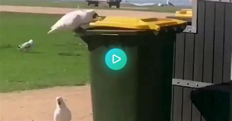 Bin Time Album On Imgur