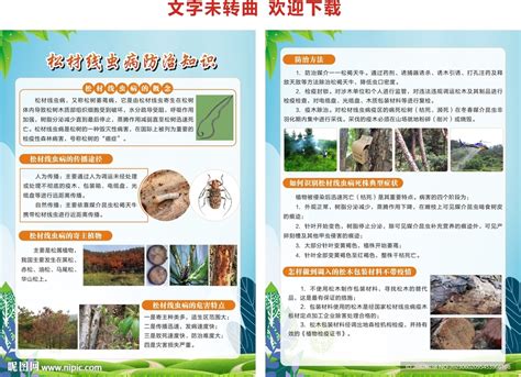 松材线虫病防治知识设计图 广告设计 广告设计 设计图库 昵图网