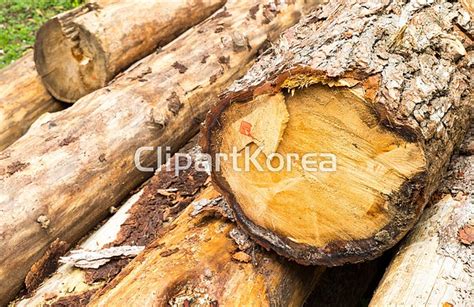 해외작가포토 클립아트코리아 통로이미지주