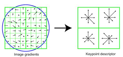 Ai Applications In The Fields Of Multimedia Computer Vision And