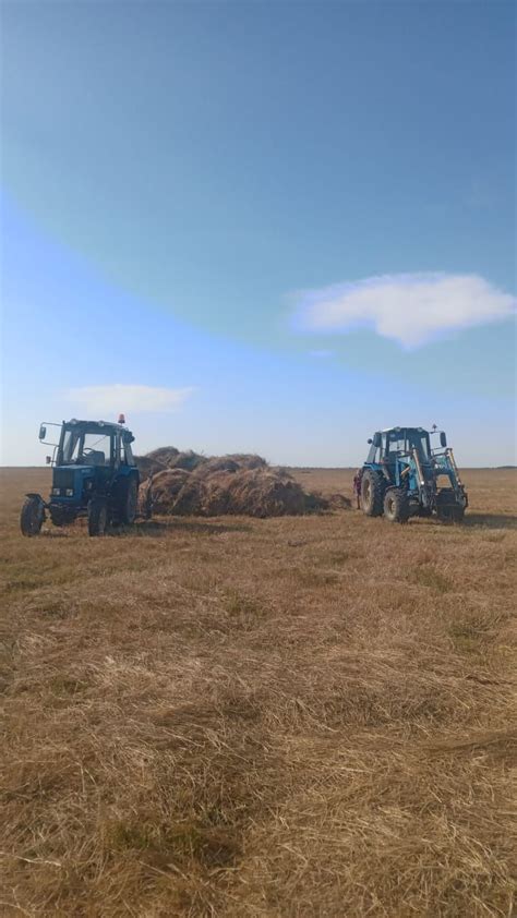 Земля сельхоз назначения Продажа Костанай на Olx