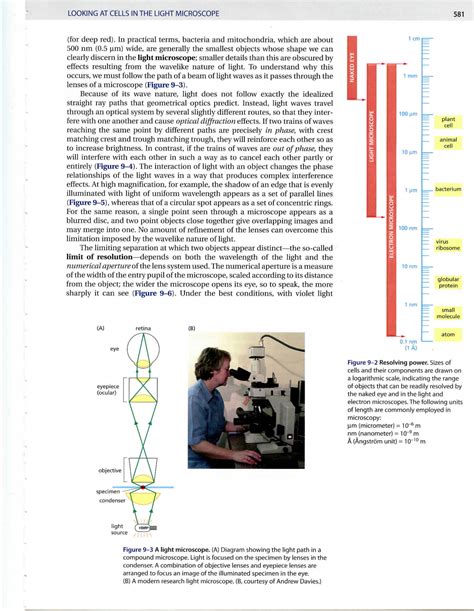 SOLUTION Visualizing Cells Lecture Notes Studypool
