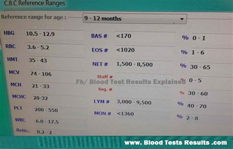 Normal CBC Values For A Baby 9 12 Month Age Labs Blood Test Results
