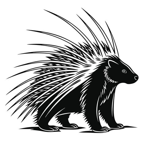 Illustration Of Porcupine Black And White 59793799 Vector Art At Vecteezy