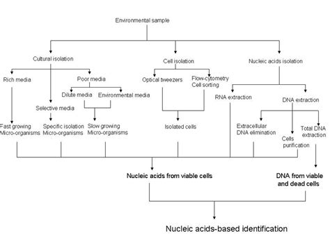 Schematic Representation Of The Different Ways Used For Microbial