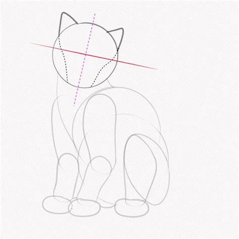 How To Draw A Cat Realistic Step By Step Tutorial Artlex