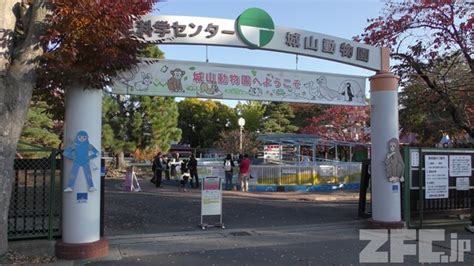 Zfc Jp