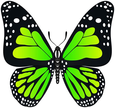 Free Green Butterfly Clipart Download Free Green Butterfly Clipart Png