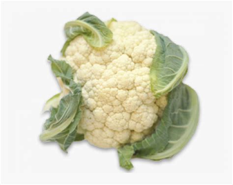 Single Vegetables Images With Names Hd Png Download Kindpng