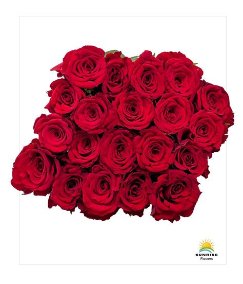 Upper Class Sunrise Flowers Upper Class Sunrise Flowers