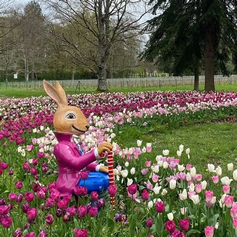 Private Sex Yukiko Fuse My Xxx Hot Girl Private Sex Yukiko Fuse My Xxx Hot Girl