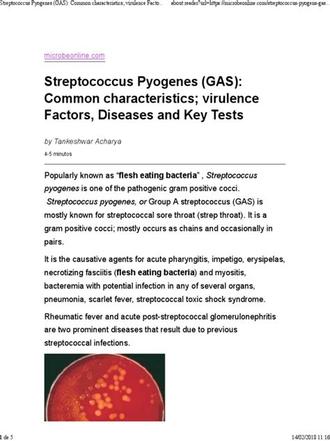 Streptococcus Pyogenes Gas Common Characteristics Virulence Factors