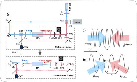 Parametric Amplification Of Orbital Angular Momentum Beams Based On Light Acoustic Interaction