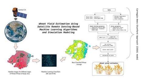 Remote Sensing Free Full Text Assessing The Yield Of Wheat Using Satellite Remote Sensing