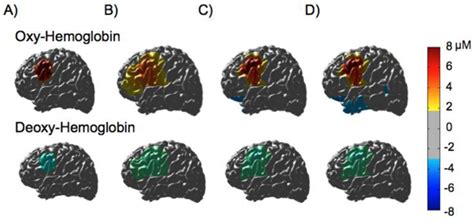 Intra Subject Optical Reconstructions From Repeated Measurements The