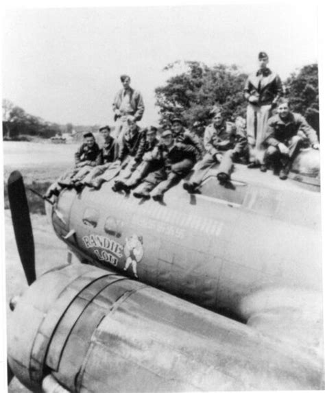 Aircraft Buffalo Gal 100th Bomb Group Foundation