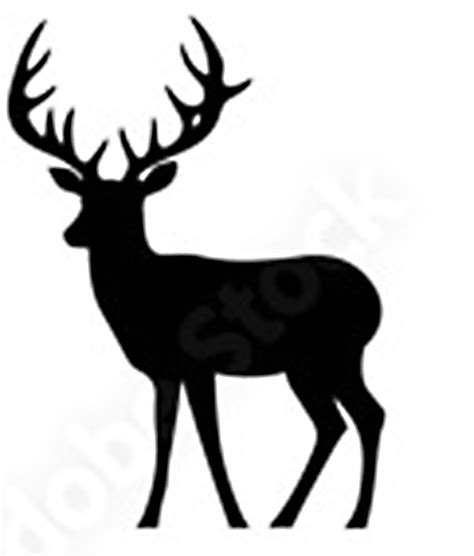 Hirsch Hifi Forumde Bildergalerie