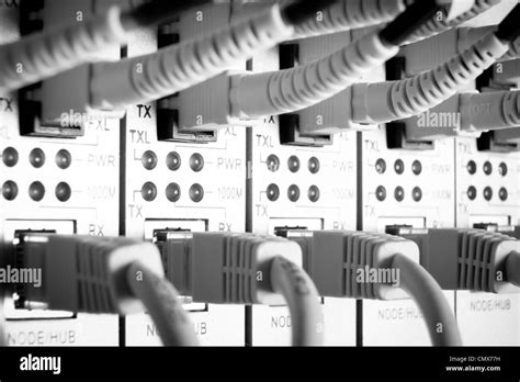 Close Up Of Network Cables Connected To Switch Stock Photo Alamy