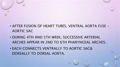 Aortic Arch Anomalies Pptx Heart And Cardiovascular Diseases
