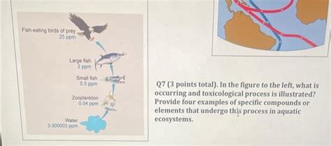 [solved] q7 3 points total in the figure to the left w