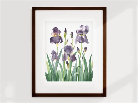 May We Fly — Irises