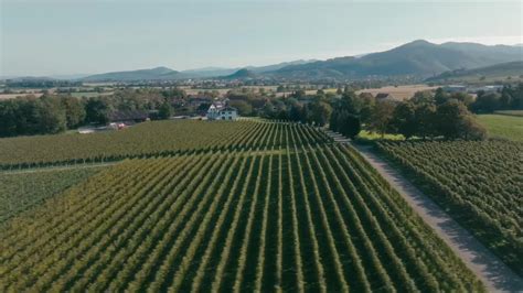 Markus Edgar Ruf On Linkedin Image Video Rustica Heiwog Patrick Winterhalter Jay Fedorov Henrik…