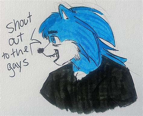 Made Connor The Hedgehog Cause Connors Cooler Than Sonic R