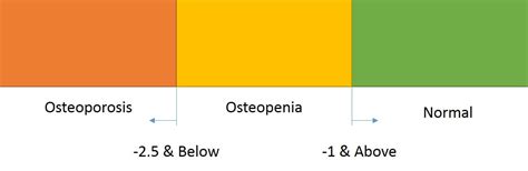 Dexa Scan For Bone Get Test Cost Purpose And Pictures 2021