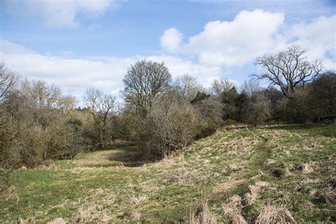 Open Grassed Area In Woods © Trevor Littlewood Geograph Britain And