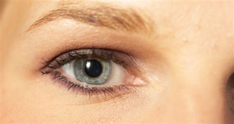 How To Dye Grey Eyebrows Our Everyday Life