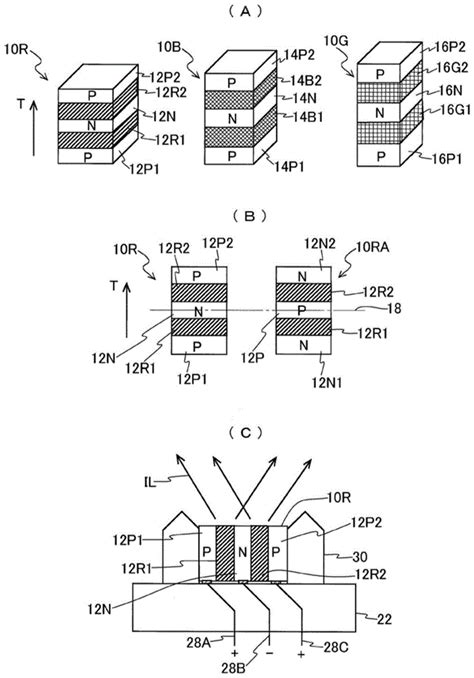 发光元件与显示装置及其制造方法与流程