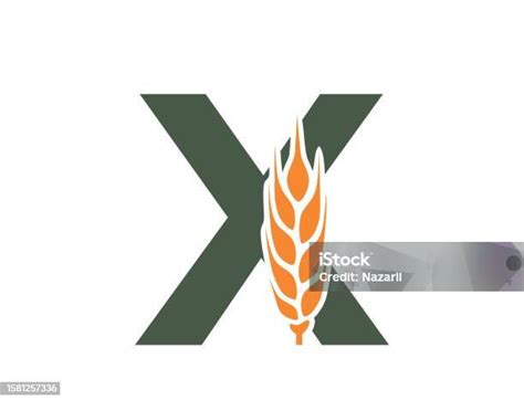 밀 귀가 있는 문자 X Creative Harvest 알파벳 로고타입 곡물 농업 농업 및 곡물 작물 설계 가을에 대한 스톡 벡터 아트 및 기타 이미지 Istock