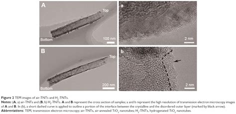 Effects Of Hydrogenated Tio2 Nanotube Arrays On Protein Adsorption And Ijn