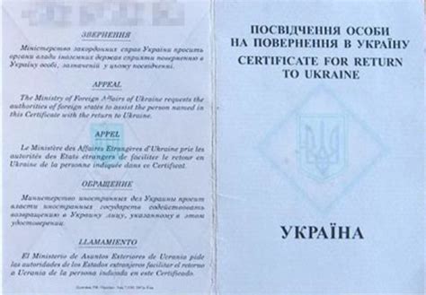 Від сьогодні вивезені до Росії українці можуть віддалено оформити посвідчення на повернення до