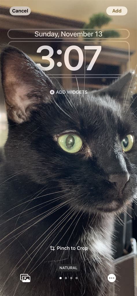 Soft ⁠｡⁠•̀⁠ᴗ⁠ ⁠⁠ On Twitter The Ios Automatic Foreground Detection Is Kind Of Fun Here Its